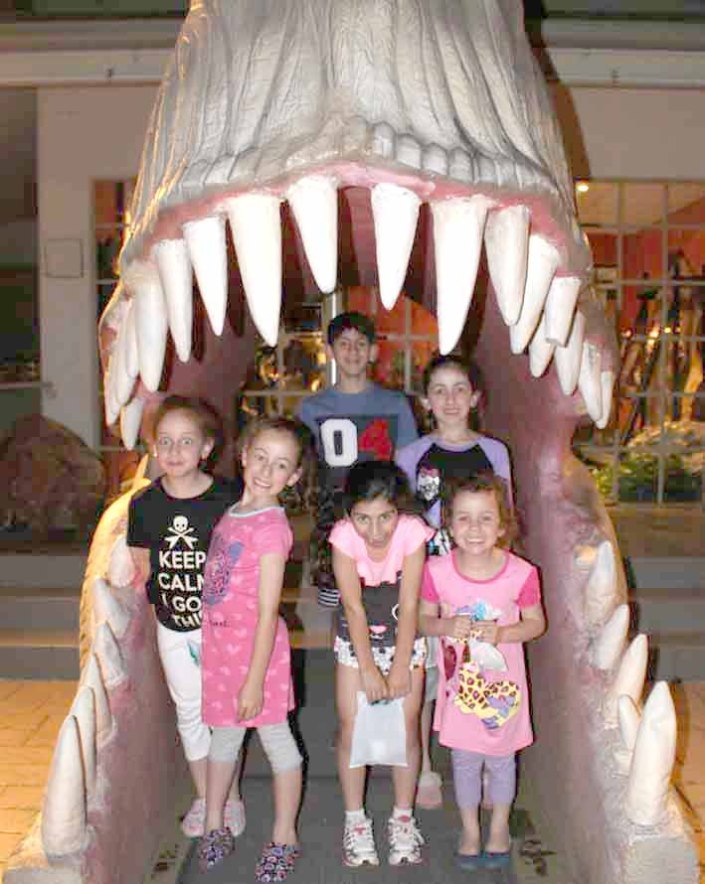 National Dinosaur Museum tour « CBRfoodie